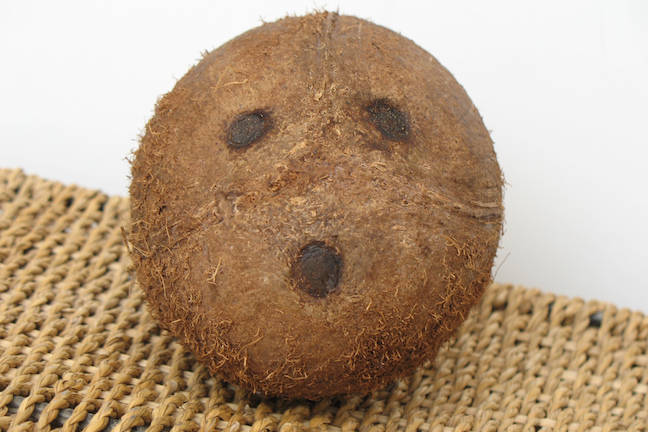 coconut_face – MeriTalk