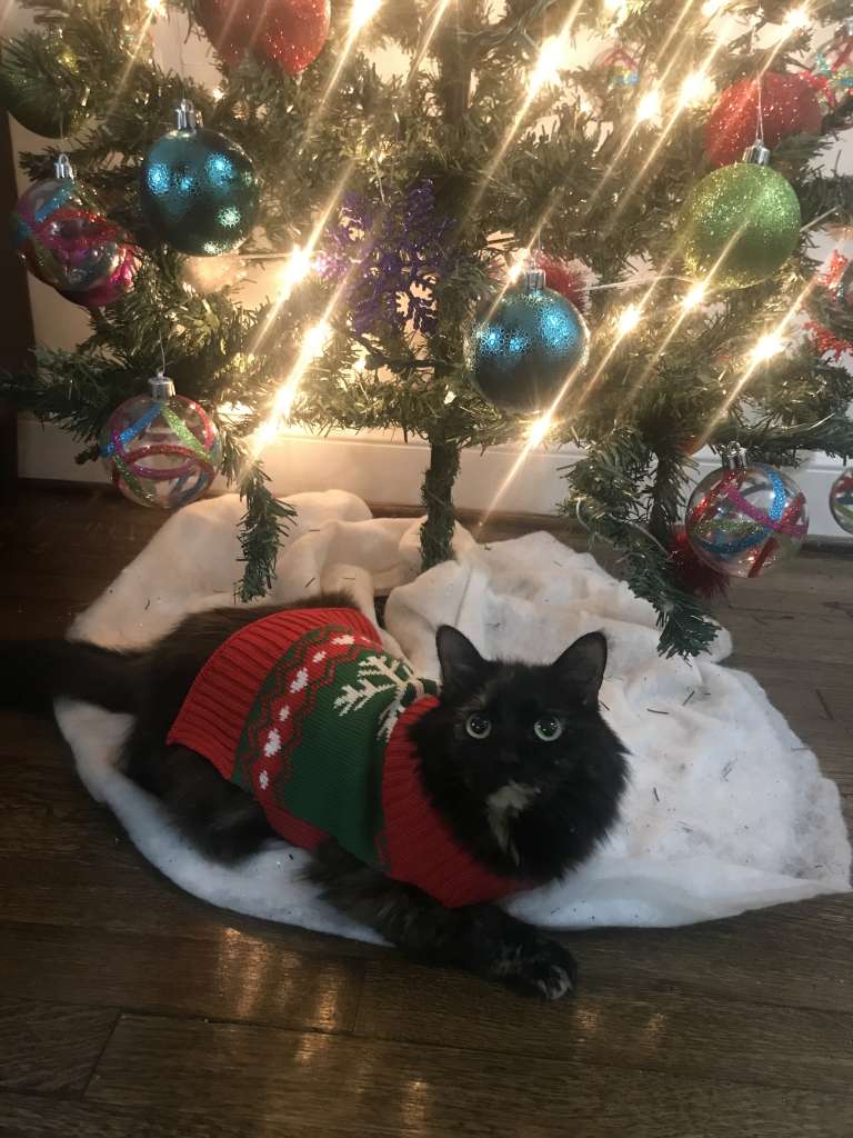 Holiday Maullie (1) – MeriTalk