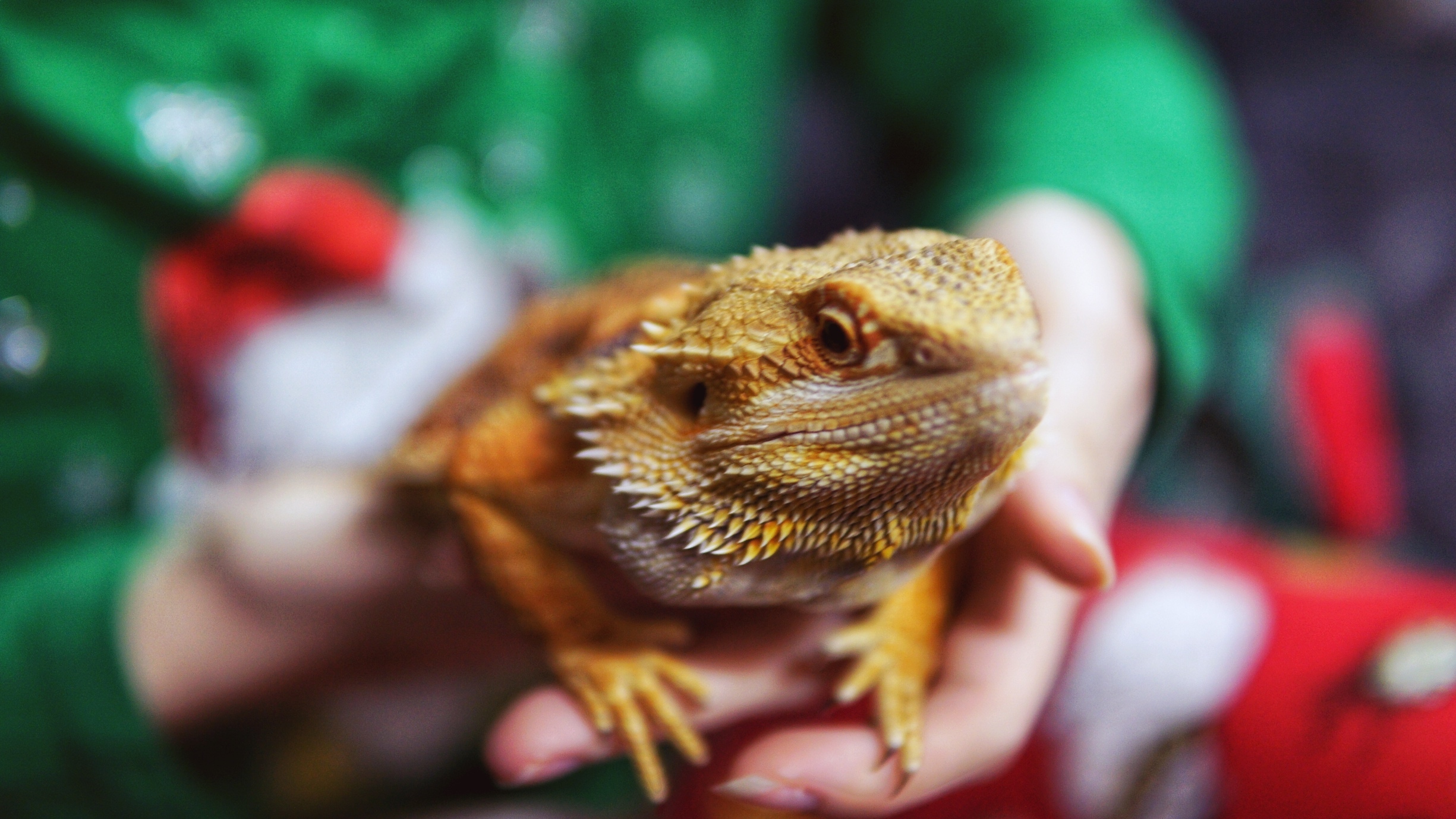 IMG_2105 – MeriTalk